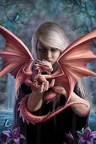 Postershop Plakát - Anne Stokes, Dragonkin