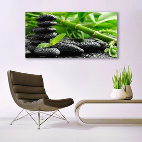 akrylový obraz Bambus Kameny Rostlina 120x60 cm