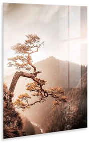 Skleněný obraz 50x70 cm Brown Tree – Styler