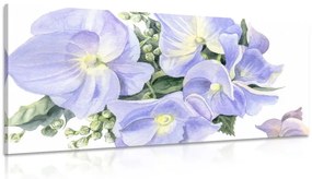 Obraz jemná kompozice květin Varianta: 100x50