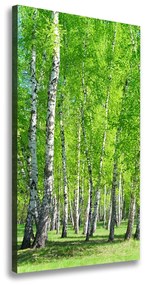 Wallmuralia Vertikální Foto obraz canvas Břízový les 50x100