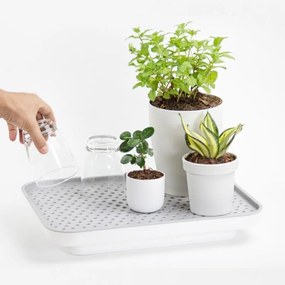 Qualy design zavlažovací/odkapávací podnos oasis tray 10309