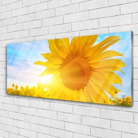 akrylový obraz Slunečnice Květ Slunce 125x50 cm