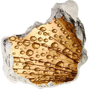 Wallmuralia Samolepící nálepka Semena pampelišky 75x75 cm