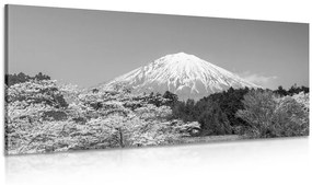 Obraz hora Fuji v černobílém provedení Varianta: 100x50