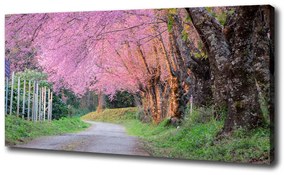 Wallmuralia Foto obraz na plátně Květy višně 100x50