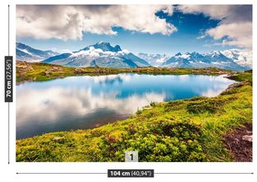 Fototapeta Mont Blanc