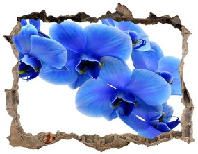 Wallmuralia Samolepící díra nálepka Modrá orchidej 95x64 cm
