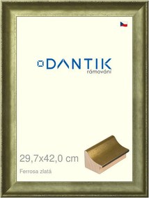 DANTIK rámeček 29,7x42 | Ferrosa zlatá (Plexi Čiré)