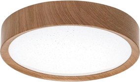 BRILAGI - LED Stropní svítidlo NATURA LED/12W/230V 4000K pr. 26,3 cm