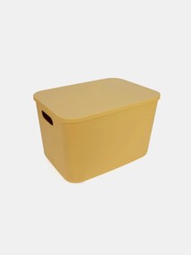 Sinsay - Úložný box s víkem - oranžová