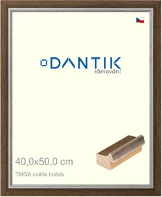 DANTIK rámeček 40x50 | TAIGA sv.hnědá (Plexi Čiré)