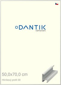 DANTIK rámeček 50x70 | ALU profil 6030 Bílá matná (Plexi Čiré)