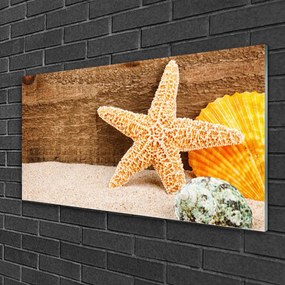 Obraz na skle Písek Hvězdice Umění 120x60 cm