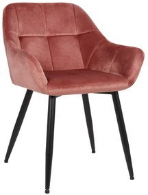 Jídelní židle Emia ~ samet, kovové nohy černé - Ružová