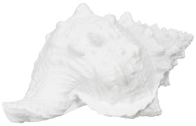 Soška z polyresinu (výška 12 cm) Seashell – Ixia
