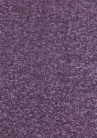 Hanse Home Collection koberce Kusový koberec Nasty 101150 Lila ROZMĚR: 67x120