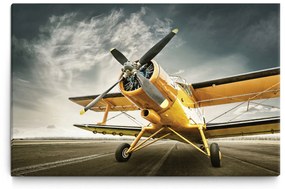 Malvis ® Obraz Žluté letadlo Velikost (šířka x výška): 150x100 cm