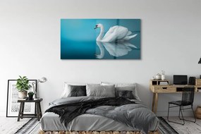 akrylový obraz Swan ve vodě 140x70 cm
