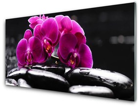 Plexisklo-obraz Kameny Zen Orchidej Lázně 100x50 cm