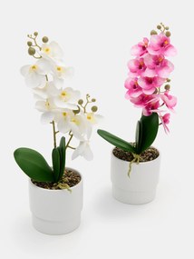 Sinsay - Umělá okrasná orchidej v květináči - bílá
