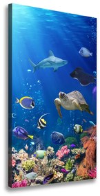 Wallmuralia Vertikální Foto obraz canvas Korálový útes 50x100
