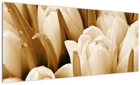 Obraz tulipánů (100x40cm)