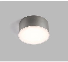 LED2 - LED Stropní svítidlo BUTTON LED/17W/230V stříbrná