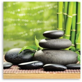 Gario Obraz na plátně Černé zenové kameny a zeleň Rozměry: 30 x 30 cm