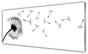 Plexisklo-obraz Pampeliška Květ 125x50 cm