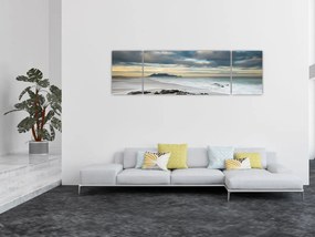 Obraz - Robben Island (170x50 cm)