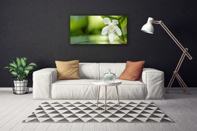 Obraz na plátně Květ Listy 125x50 cm
