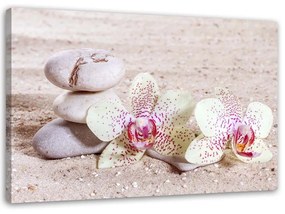 Gario Obraz na plátně Orchidej a kameny na písku Rozměry: 60 x 40 cm
