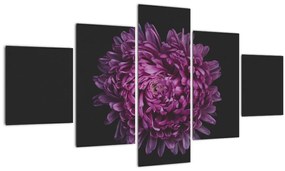 Obraz fialové květiny (125x70 cm)