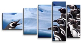 Sablio Obraz - 5-dílný Tučňáci - 100x60 cm