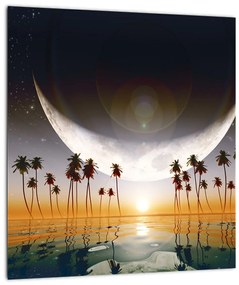 Obraz - Měsíc nad palmami (30x30 cm)