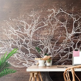 Samolepící tapeta koruna stromu na dřevěném podkladu - 150x100 cm