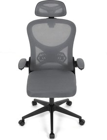 Ergonomická kancelářská židle ALEXANDRE - šedá síťovina