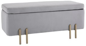 Čalouněná lavice s úložným prostorem, šedá, 100 x 40 x 42 cm 838-024GY