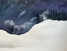 Martina Špinková | Světlo na kraji lesa Rám: Dubový, Velikost: 40 x 60 cm