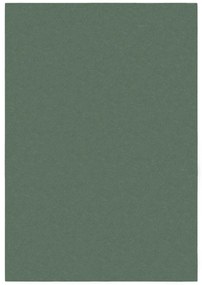 Flair Rugs koberce Kusový koberec Softie Lilypad - 200x290 cm