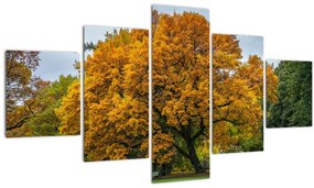 Obraz stromu (125x70 cm)