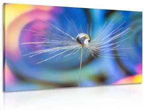 Obraz kapka rosy na barevném pozadí - 90x60 cm