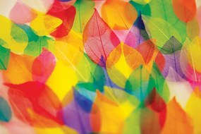 Tapeta listy v podzimních barvách - 300x200 cm