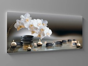 Liox Obraz orchidej a kameny ve vodě Rozměr: 100 x 45 cm