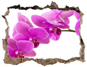 Wallmuralia Samolepící díra nálepka Růžová orchidej 95x64 cm