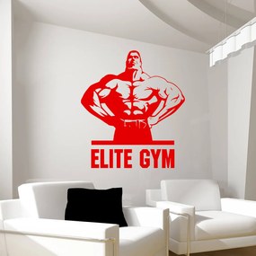 Živá Zeď Samolepka na zeď Elite Gym Barva: černá