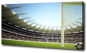Wallmuralia Foto obraz na plátně Stadion Francie 100x50