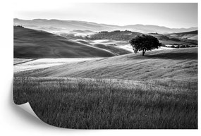 Fototapeta Rolling Hills V Černé A Bílé Strukturální vinyl 90x60