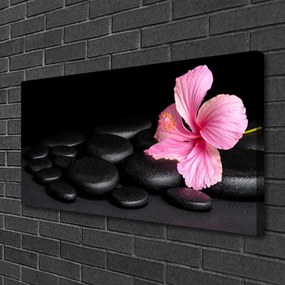 Obraz na plátně Kameny Květ Umění 100x50 cm